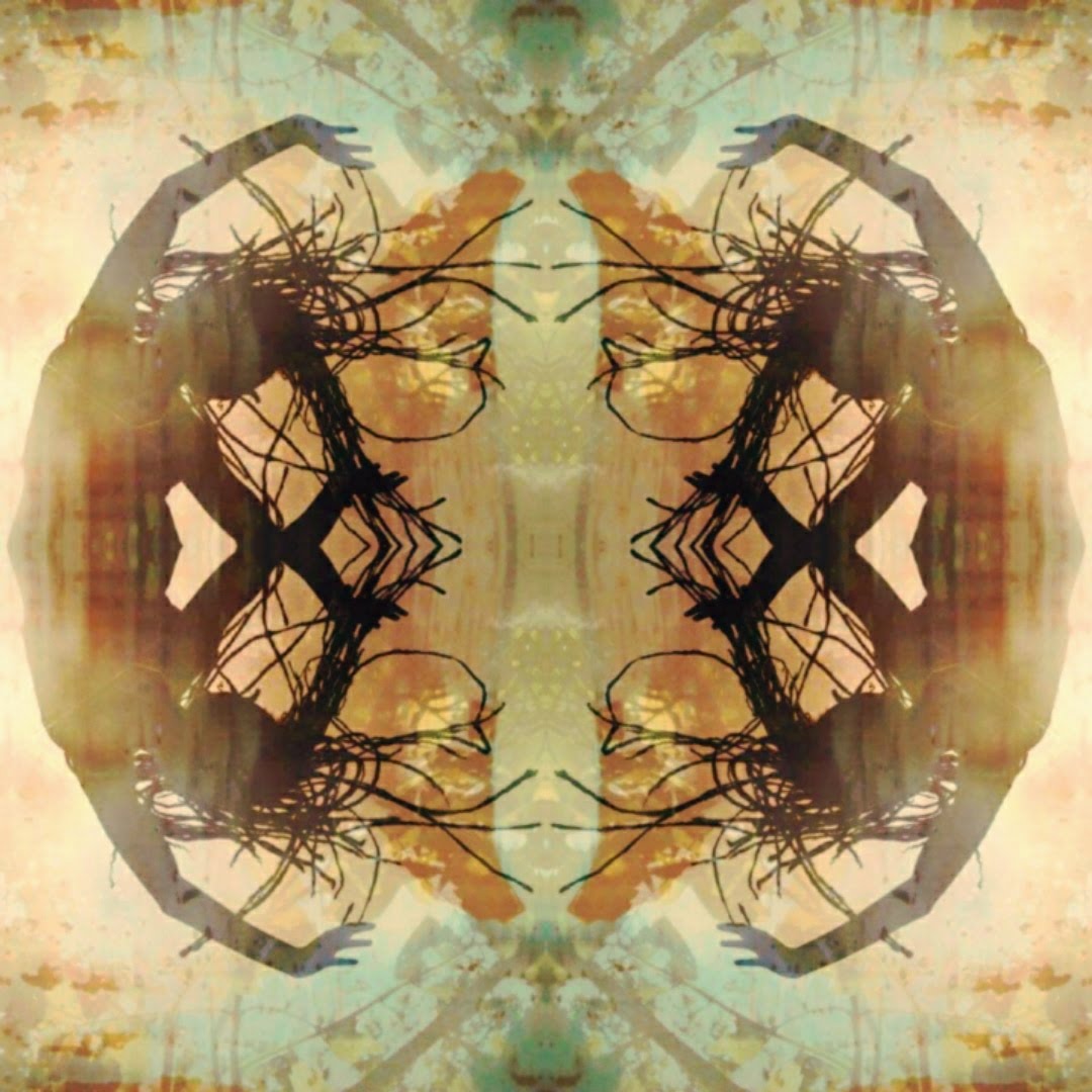 Way of the Wild Human – The Wild Human Initiative